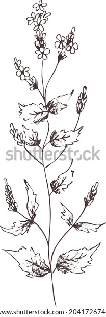 Hand Drawn Outline Abstract Vector Image Stock Vector (Royalty Free ...