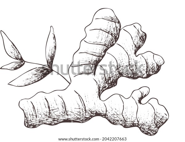 Hand Drawn Outline Abstract Vector Image Stock Vector (Royalty Free ...