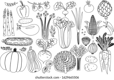 Hand Drawn Outline Vegetables Vector Stock Vector (Royalty Free ...