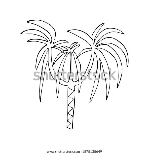 Hand Drawn Palm Vector Illustration Stock Vector (Royalty Free ...