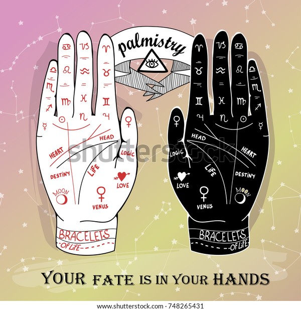 Hand Drawn Palmistry Vector Illustration Your Stock Vector (Royalty ...