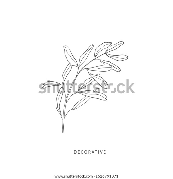 Hand Drawn Plant Branches Greenery Design Stock Vector (Royalty Free ...
