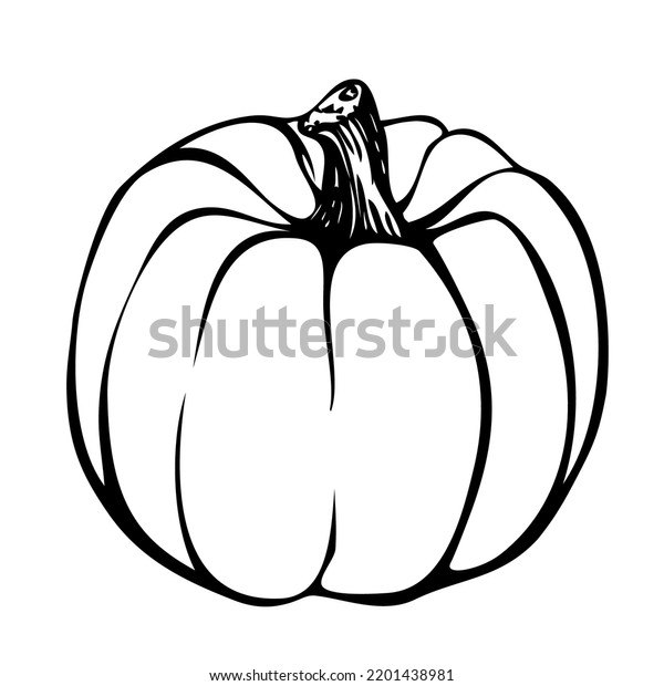 Hand Drawn Pumpkin Ink Drawingpumpkin Vector Stock Vector (Royalty Free ...