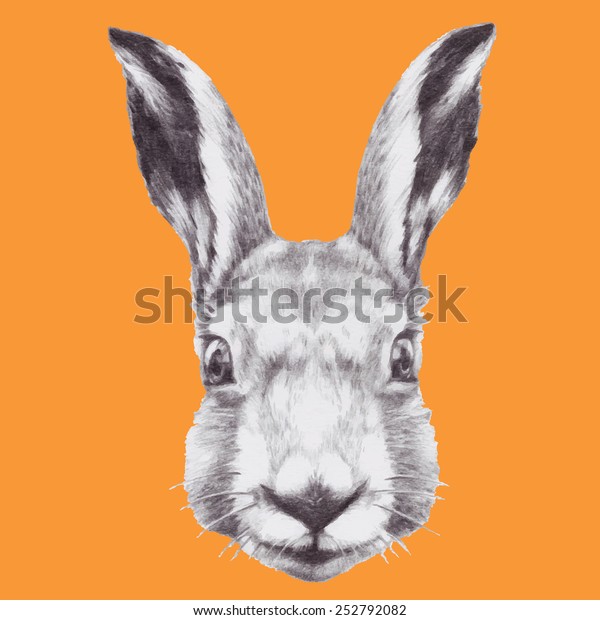 Hand Drawn Rabbits Head Vector Stock Vector (Royalty Free) 252792082 ...