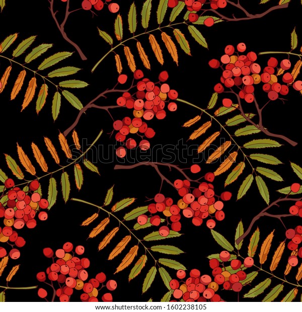 Hand Drawn Realistic Rowan Tree Leaves Stock Vector (Royalty Free ...
