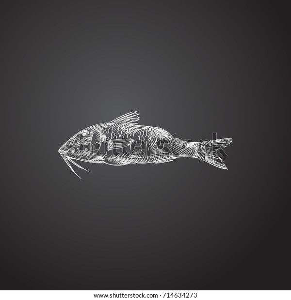 Hand Drawn Red Mullet Sketch Symbol Stock Vector (Royalty Free ...