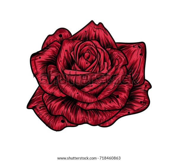Hand Drawn Red Rose On White Stock Vector (Royalty Free) 718460863 ...