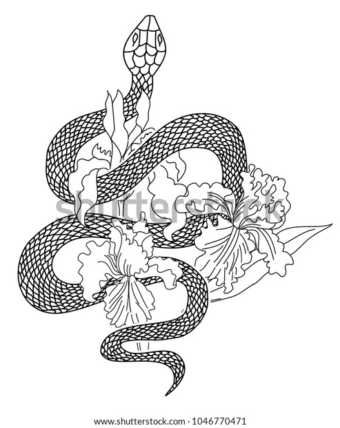 Hand Drawn Red Snake Vector Hibiscus Stock Vector (Royalty Free ...