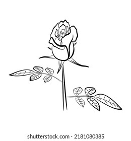 Hand Drawn Rose Flower Linear Rose Stock Vector (Royalty Free ...