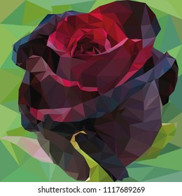 Hand Drawn Rose Low Poly Style Stock Vector (Royalty Free) 1117689269 ...