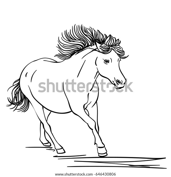 Hand Drawn Running Horse Line Art Stock Vector (Royalty Free) 646430806 ...