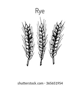 13,021 imágenes de Rye drawing - Imágenes, fotos y vectores de stock ...
