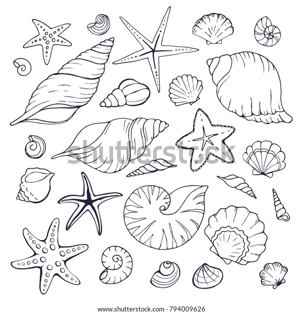 Hand Drawn Sea Shells Stars Collection Stock Vector (Royalty Free ...