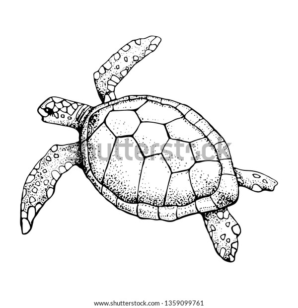 Hand Drawn Sea Turtle Isolated On Stock Vector (Royalty Free) 1359099761