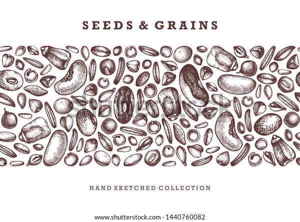 Hand Drawn Seeds Grains Design Vector Stock Vector (Royalty Free ...