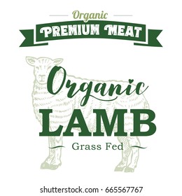 Hand Drawn Sheep Label Text Organic Stock Vector (Royalty Free ...