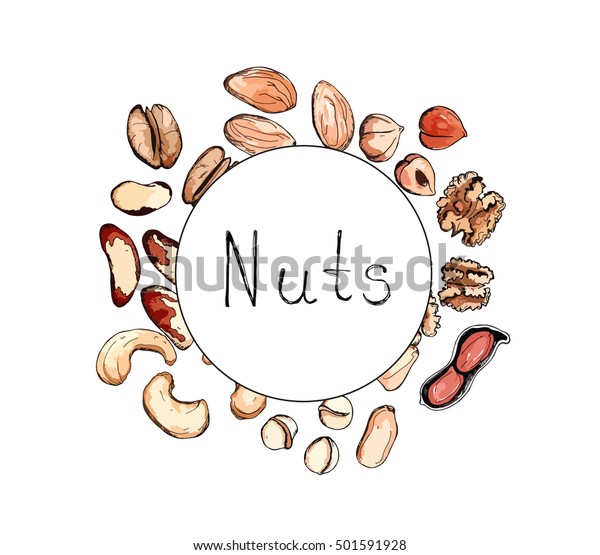 Hand Drawn Sketch Illustration Set Kind Stock Vector (Royalty Free ...