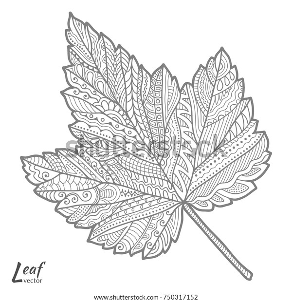 Hand Drawn Sketch Leaf Zendoodle Style Stock Vector (Royalty Free ...
