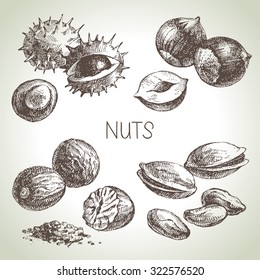 Hand Drawn Sketch Nuts Set Vector Stock Vector (Royalty Free) 322576520 ...