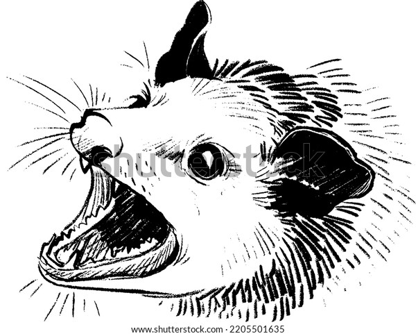 Hand Drawn Sketch Screaming Possum Stock Vector (Royalty Free ...