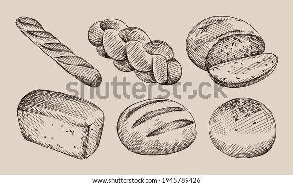 Hand Drawn Sketch Set Bread Types Stock Vector (Royalty Free ...