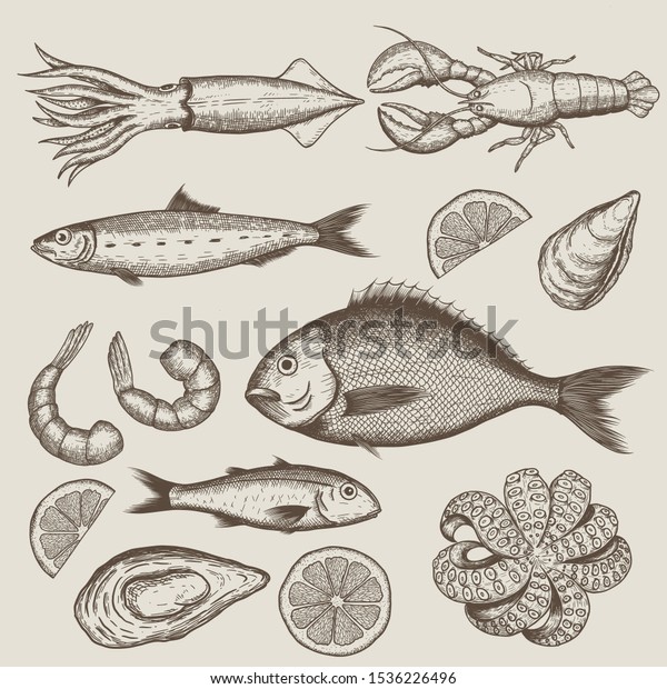 Hand Drawn Sketch Set Seafood Vector Stock Vector (Royalty Free ...