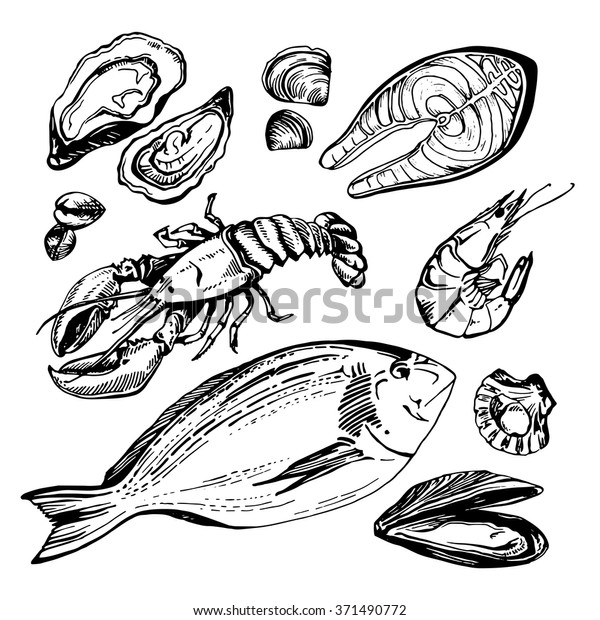 Hand Drawn Sketch Set Seafood Vector Stock Vector (Royalty Free) 371490772