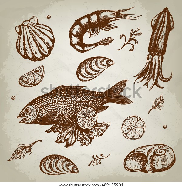 Hand Drawn Sketch Set Seafood Vector Stock Vector (Royalty Free) 489135901