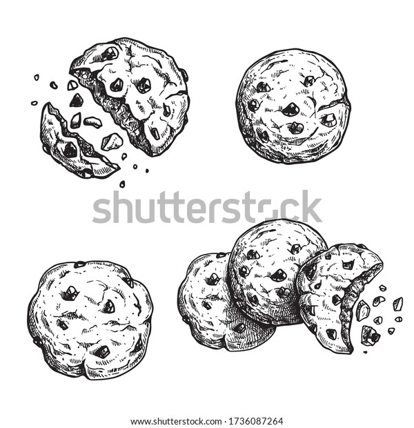 Hand Drawn Sketch Style Chocolate Chip Stock Vector (Royalty Free ...