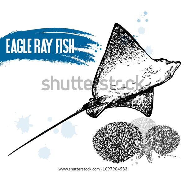 Hand Drawn Sketch Style Eagle Ray 스톡 벡터(로열티 프리) 1097904533