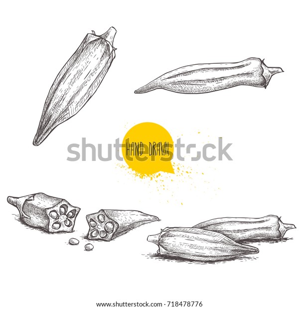Hand Drawn Sketch Style Exotic Vegetables Stock Vector (Royalty Free ...