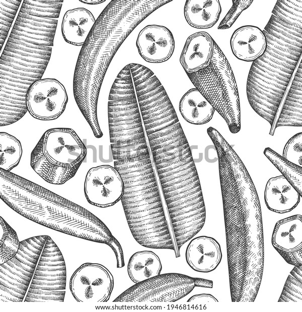Hand Drawn Sketch Style Plantain Seamless Stock Vector (Royalty Free ...