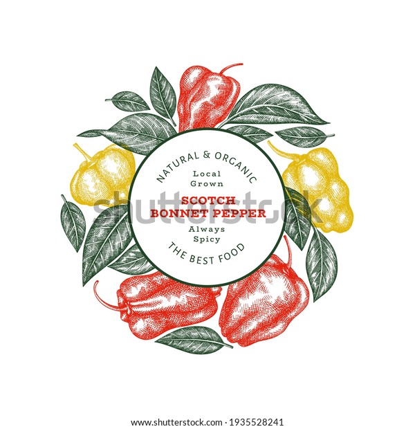 Hand Drawn Sketch Style Scotch Bonnet Stock Vector (Royalty Free ...