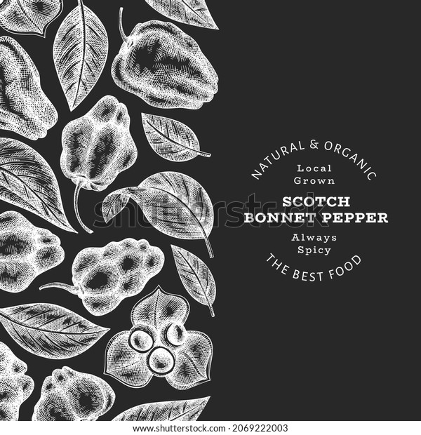 Hand Drawn Sketch Style Scotch Bonnet Stock Vector (Royalty Free ...