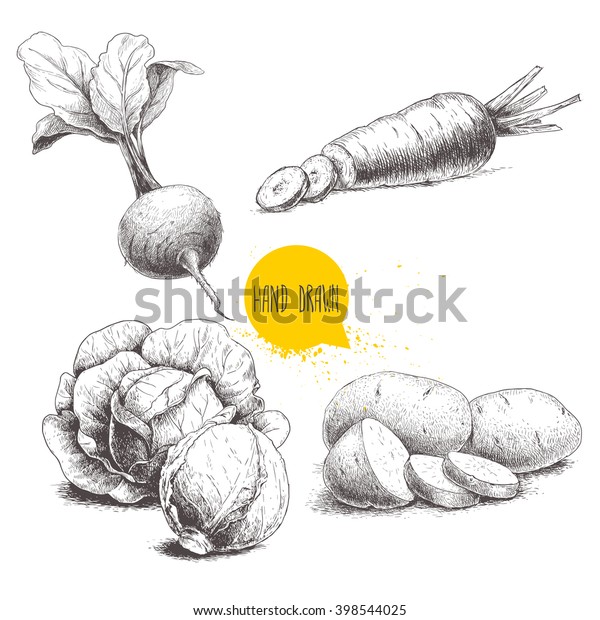 Hand Drawn Sketch Style Vegetables Set Stock Vector (Royalty Free ...