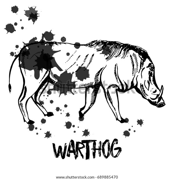 Hand Drawn Sketch Style Warthog Vector Stock Vector (Royalty Free ...