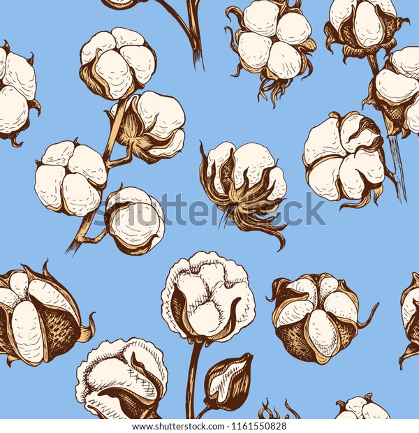 Hand Drawn Sketch Vector Iilustration Cotton Stock Vector (Royalty Free ...