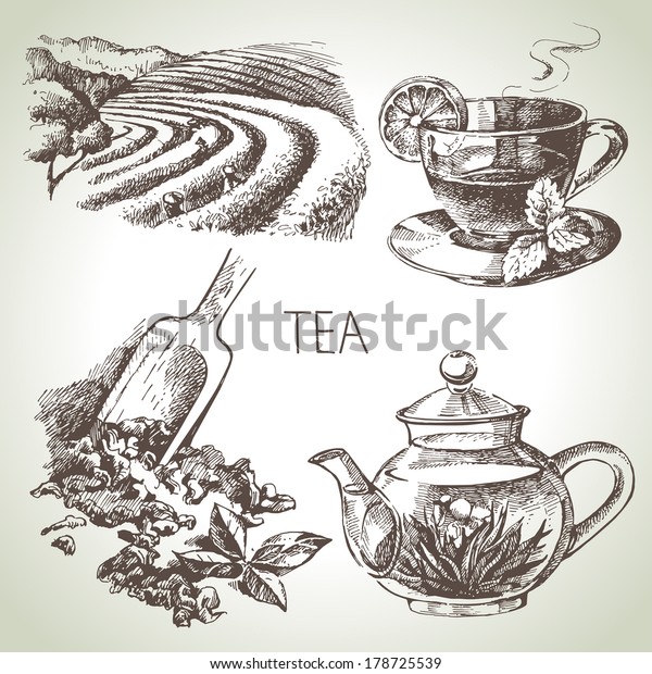 Hand Drawn Sketch Vector Tea Set Stock Vector (Royalty Free) 178725539