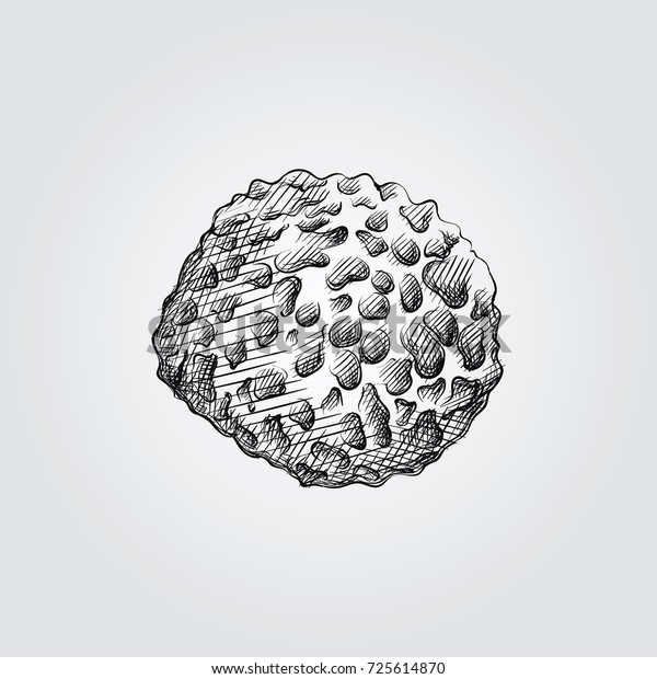 Hand Drawn Sponge Sketch Symbol Isolated Stock Vector (Royalty Free ...