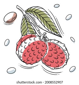 2,812 Lychee drawing Images, Stock Photos & Vectors | Shutterstock