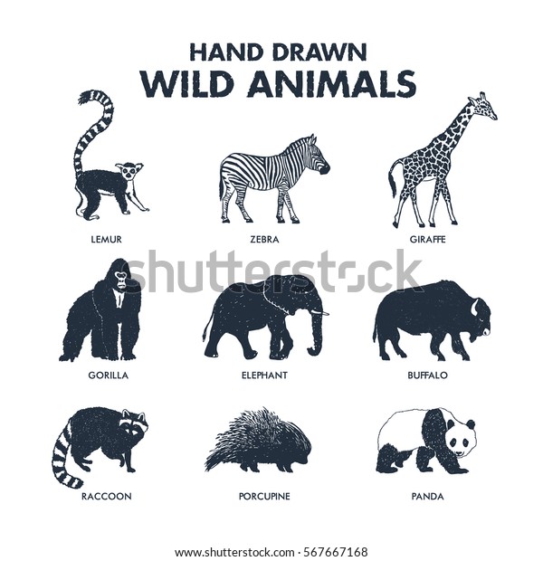 Handgezeichnete, strukturierte wilde Tiersymbole, die mit ...