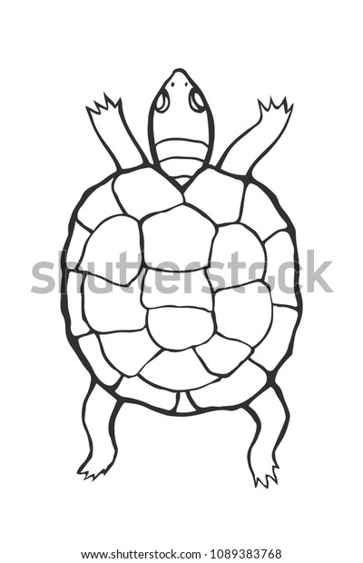 Hand Drawn Tortoise Illustration Sketch Style 스톡 벡터(로열티 프리) 1089383768 ...