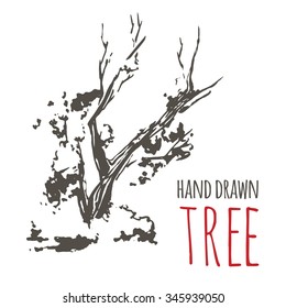 Hand Drawn Tree Japanese Tree Vector Stock Vector (Royalty Free ...