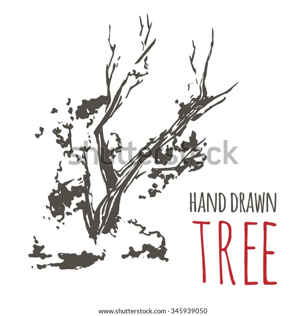 Hand Drawn Tree Japanese Tree Vector Stock Vector (Royalty Free ...
