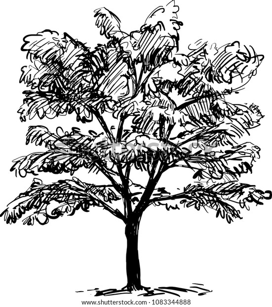 Hand Drawn Treesketch Tree Stock Vector (Royalty Free) 1083344888 ...