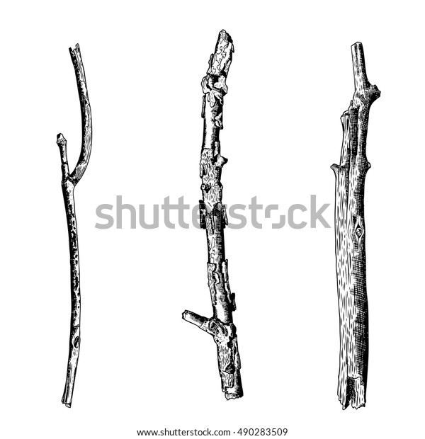 Hand Drawn Twig Branches Set Ink Stock Vector (Royalty Free) 490283509