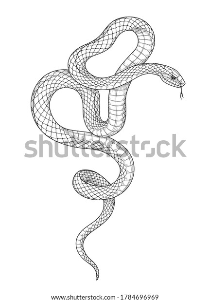 Hand Drawn Twisted Snake Isolated On Stock Vector (Royalty Free ...