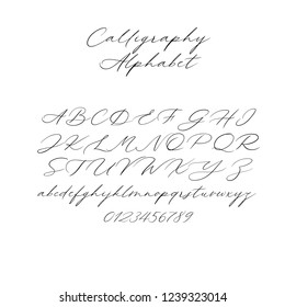 Brush Calligraphy Alphabet Hand Lettering Brushpen Stock Vector ...