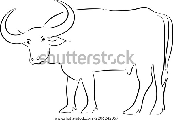 Hand Drawn Vector Buffalo Sketch Illustration Stock Vector (Royalty ...