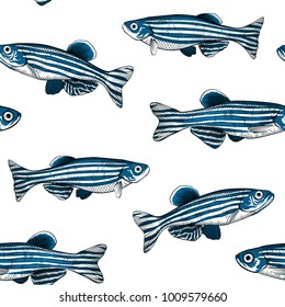 476 Danio rerio Images, Stock Photos & Vectors | Shutterstock